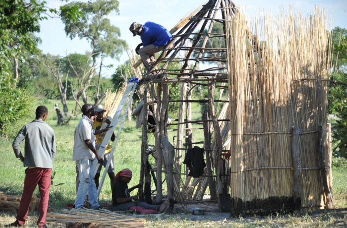 Development work Botswana - SAVE Wildlife
